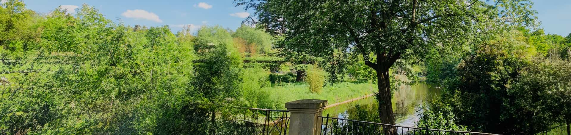 Online Shop - The Online Tree Shop